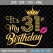 It's My 31 Birthday Shirt SVG, My 31st Birthday SVG, 31 Birthday Girl ...