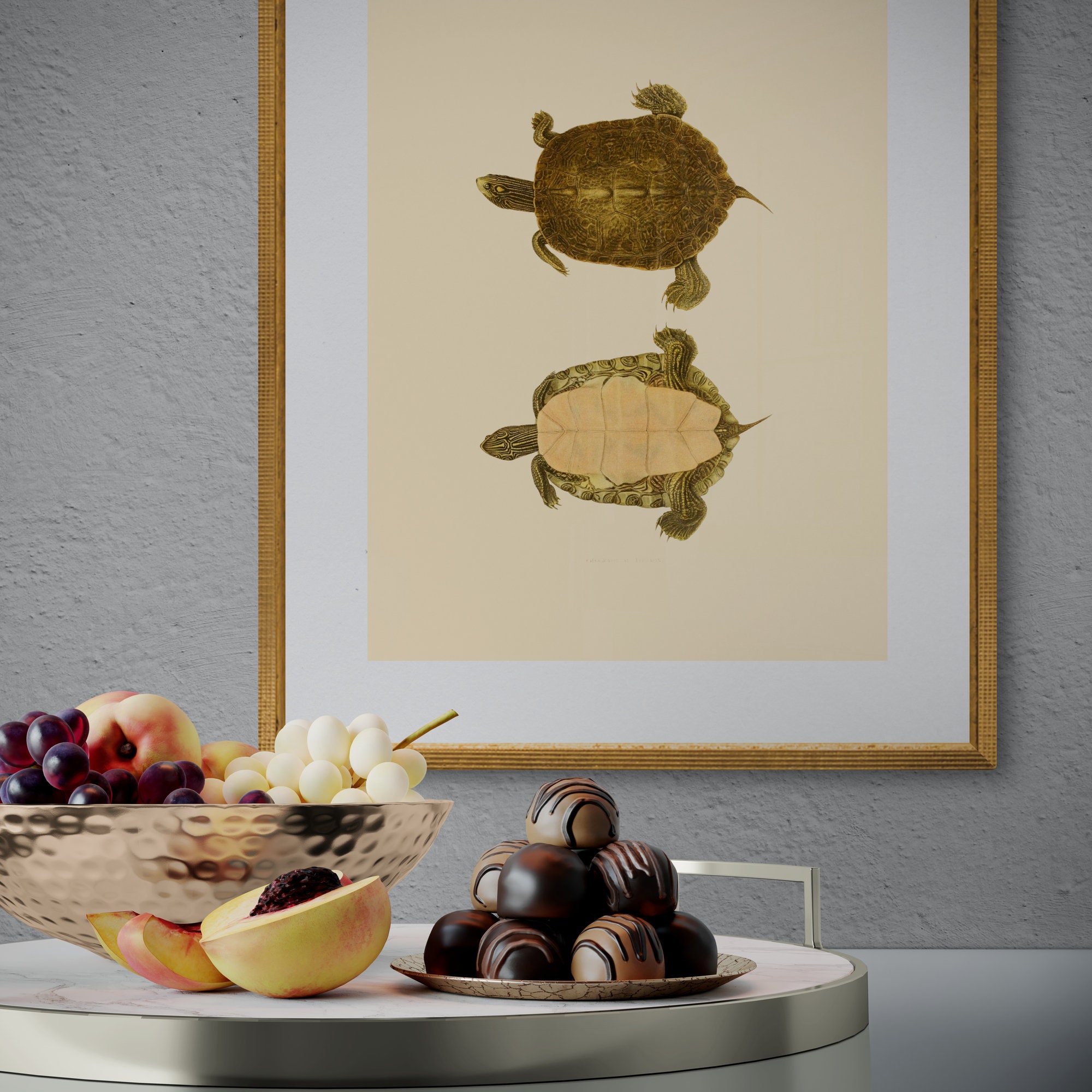 Classic Turtle Art Print Digital Vintage Marine Design Sea Turtle Wall ...