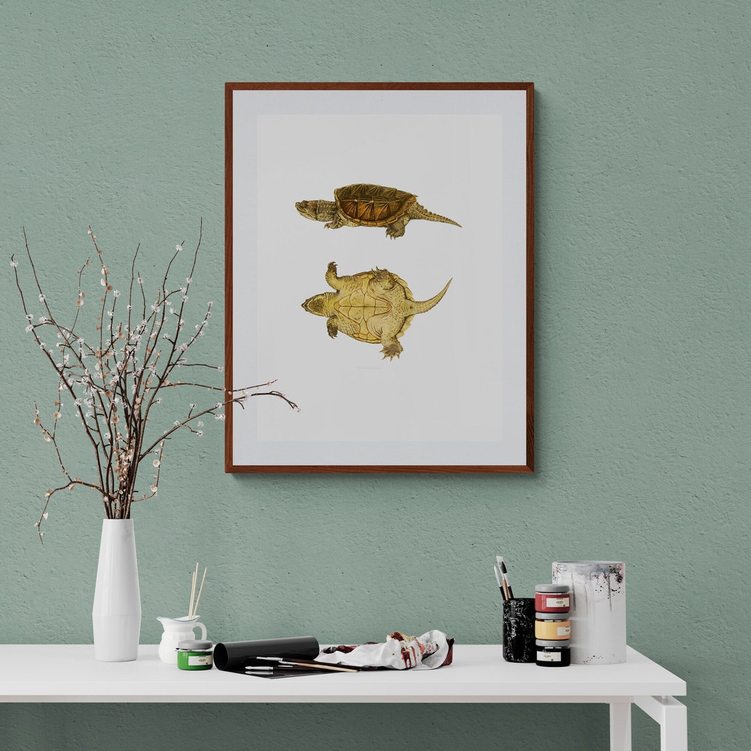 Digital Sea Turtle Print | Vintage Animal & Marine Artwork | Sea Turtle ...