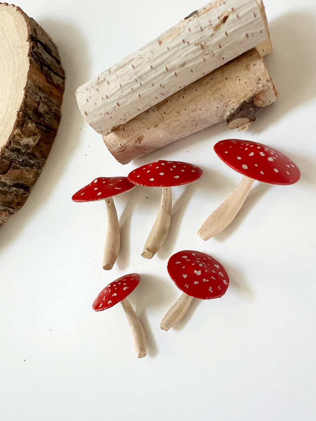 Set of Mushrooms: 5 Red Mushrooms in a Bag, Gift, Terrarium, Craft and ...