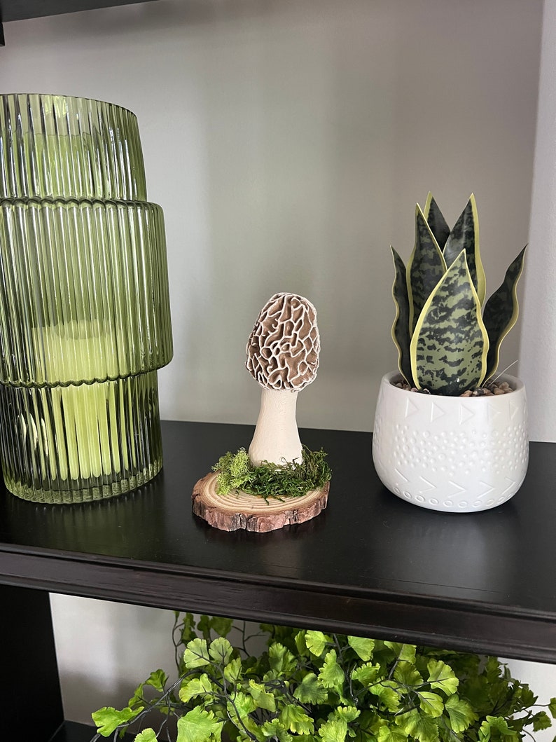 Woodland Mushroom Display Wood and Moss Base Decoration Cake Topper ...