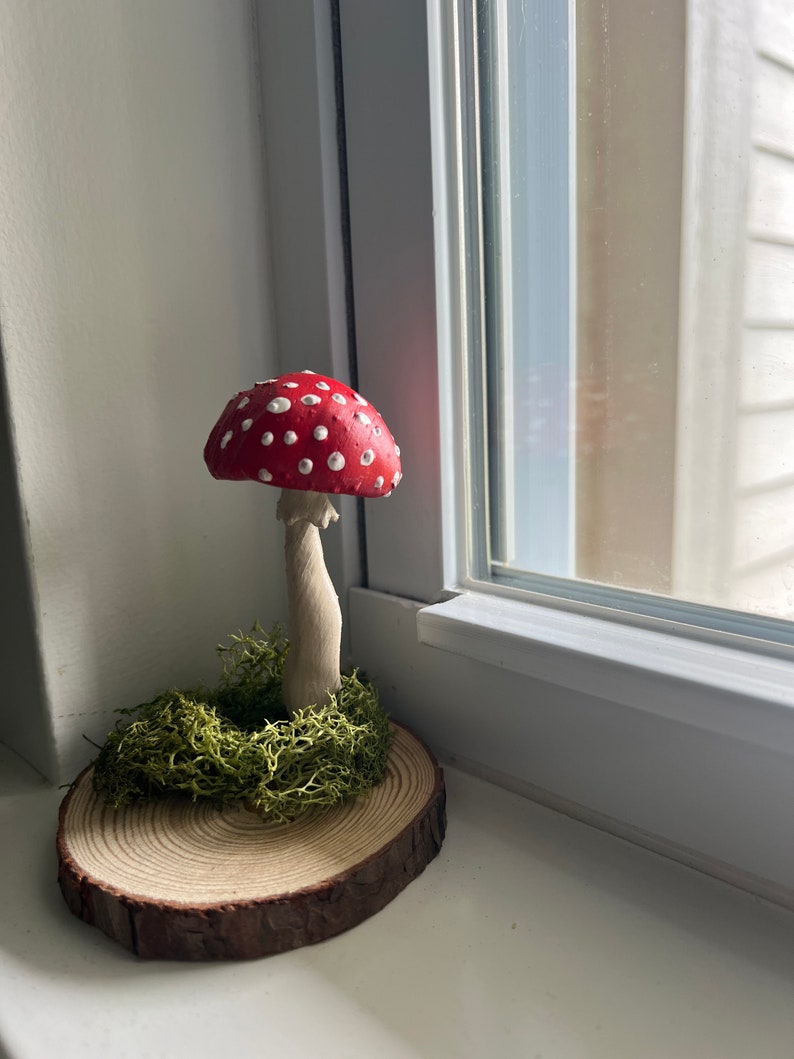 Woodland Mushroom Display Wood and Moss Base Decoration Cake Topper ...