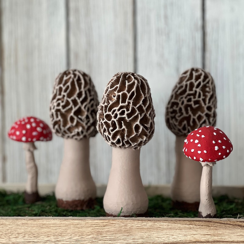 Morel Mushroom Terrarium - Etsy