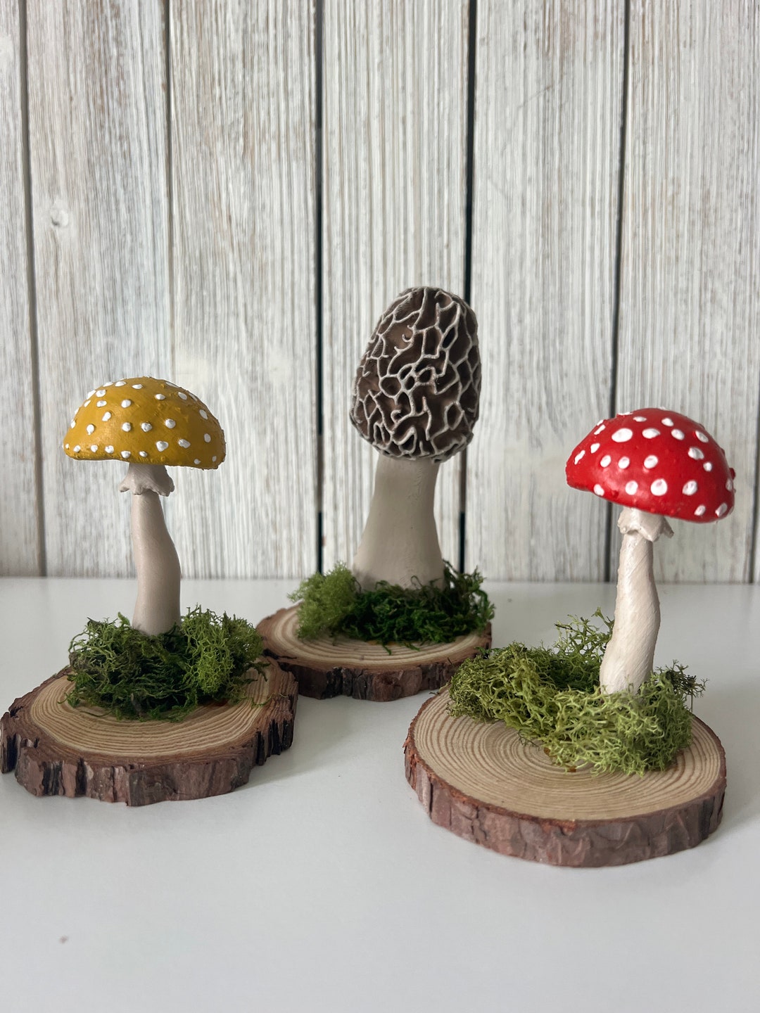 Hand-painted Woodland Mushroom Decor: Mossy Forestcore Fairy Garden - Etsy