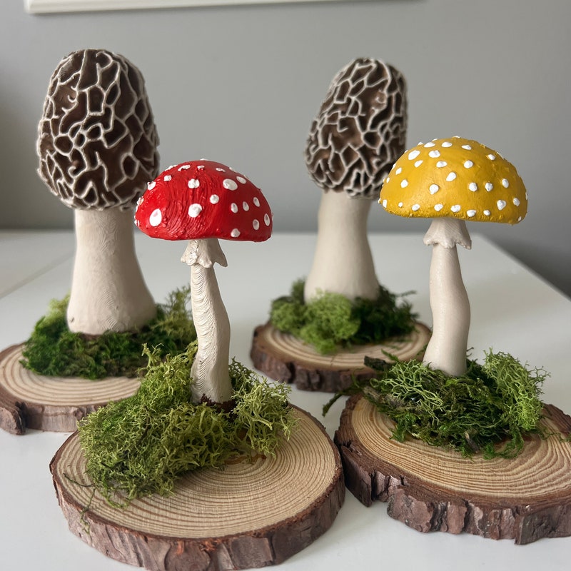 Mushroom Party Decor - Etsy