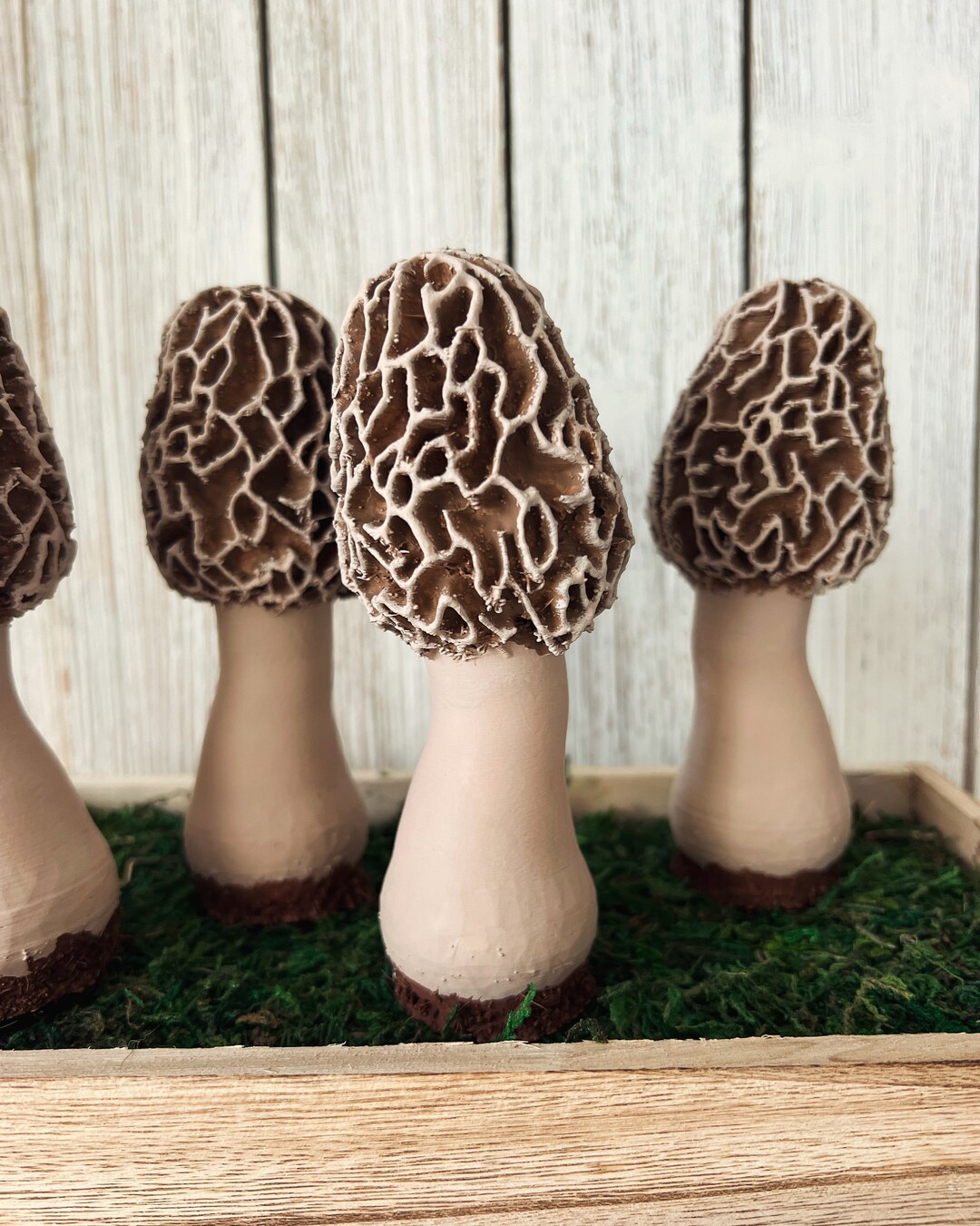 Morel Mushroom Plant Garden Spike Decoration: FREE SHIPPING ...