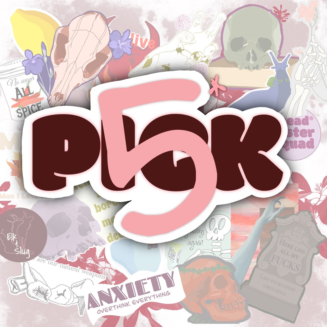Pick 5 Sticker Pack Bundle - Etsy