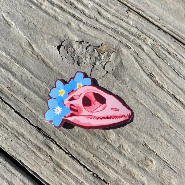 Lizard Skull - Etsy
