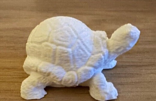 3D Printed Turtle - Etsy