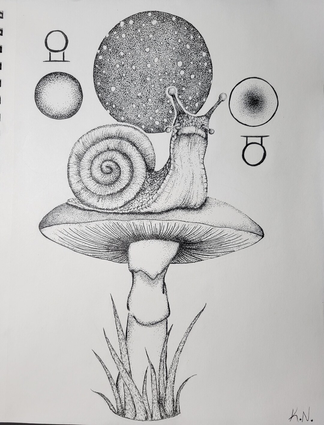 Snail Life and Death Original Artwork- Cottagecore Alternative Gothic ...