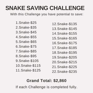 Snake Savings Challenge Printable Bundle, Mini A6 Snake Low Income ...