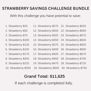 Strawberry Savings Challenge Printable Bundle, Mini A6 Strawberry ...