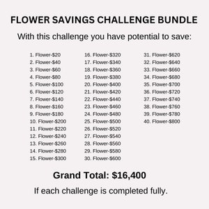 Flower Savings Challenge Printable Bundle, Mini A6 Floral Saving ...