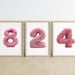 Pink Fur Numerical PNG, Numbers 0-9 Clipart, Clip Art Bundle , Number ...