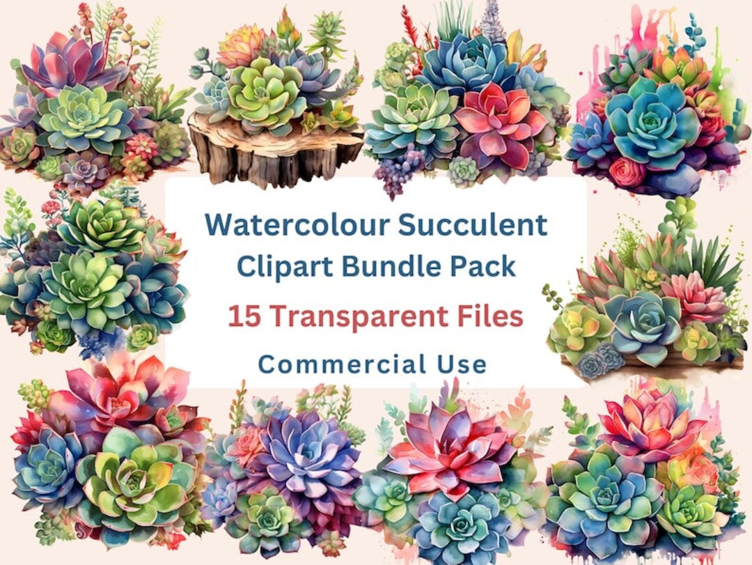 Succulent Watercolor Clipart Set 15 High-quality Transparent Pngs for ...