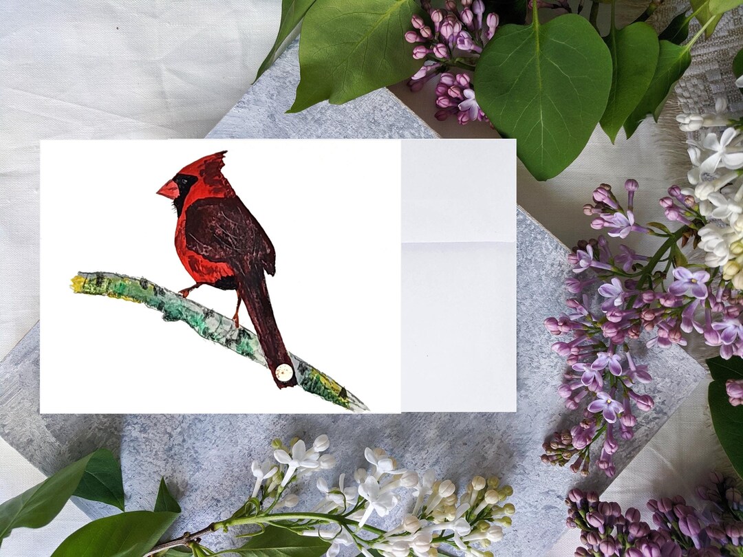 Red Bird Card, Cardinal Card, Handmade Bird Card, Bird Birthday Card, Handpainted Bird - Etsy