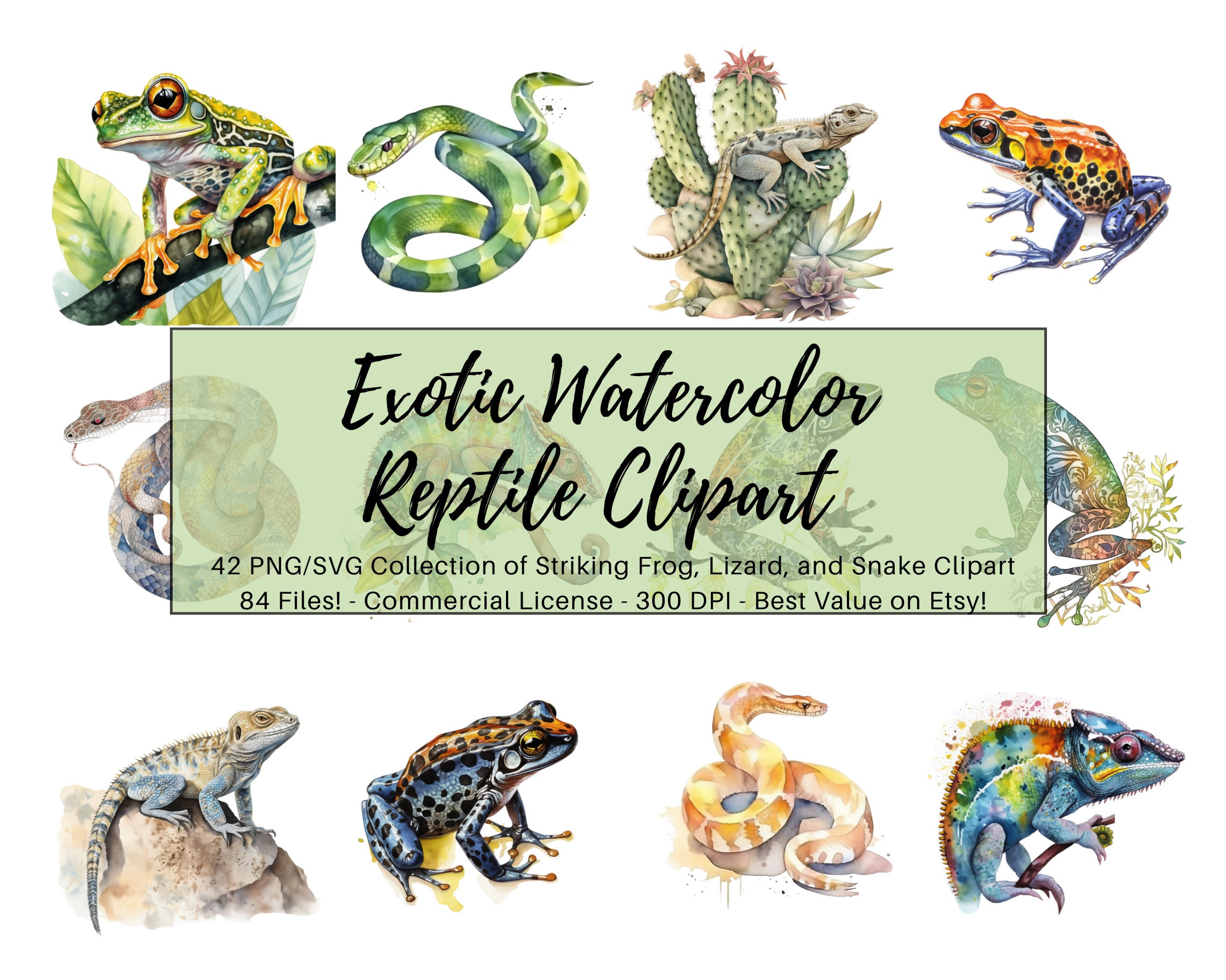 Watercolor Reptile Clipart Snake Clipart, Frog Clipart, Lizard Clipart ...