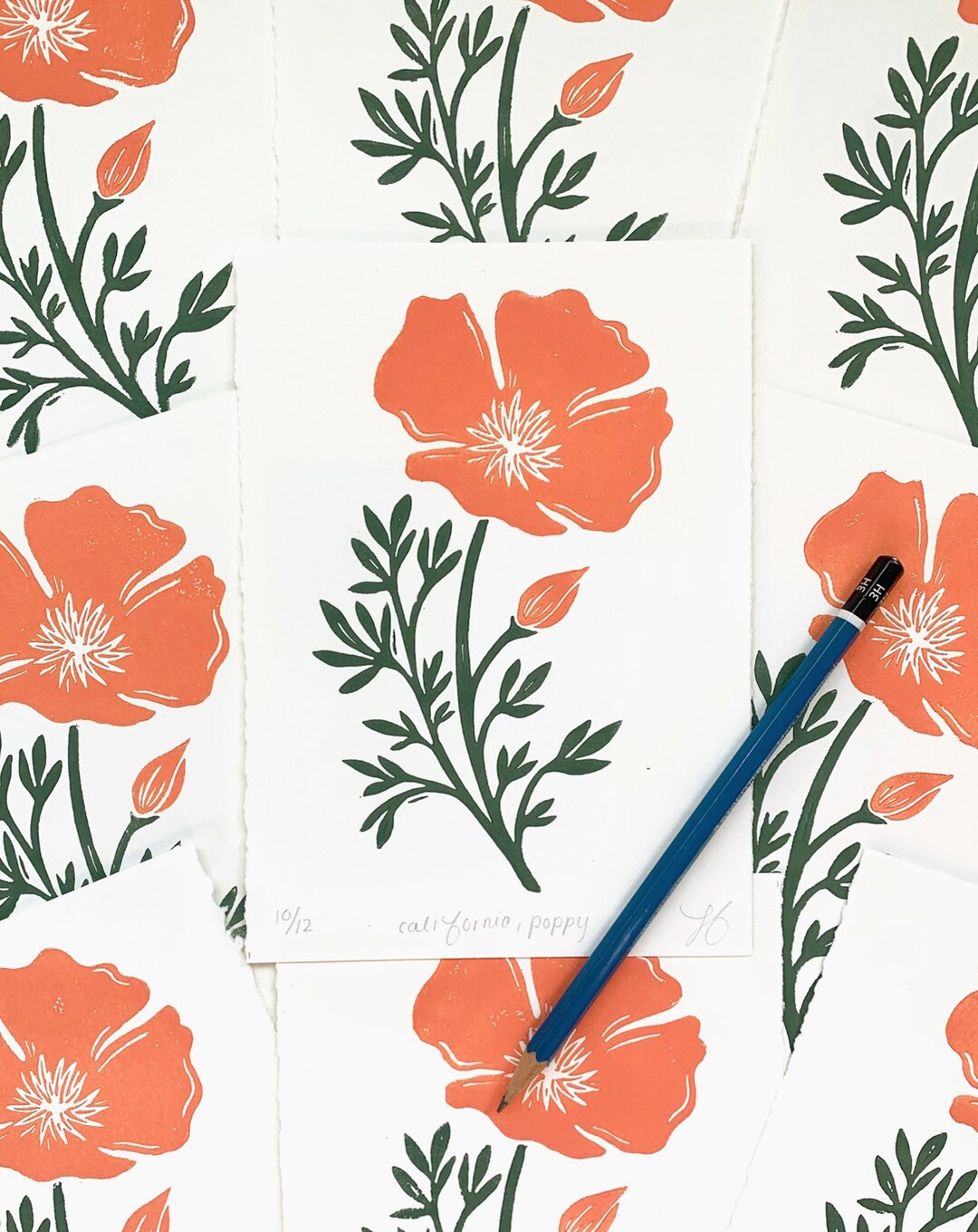 California Poppy - Etsy