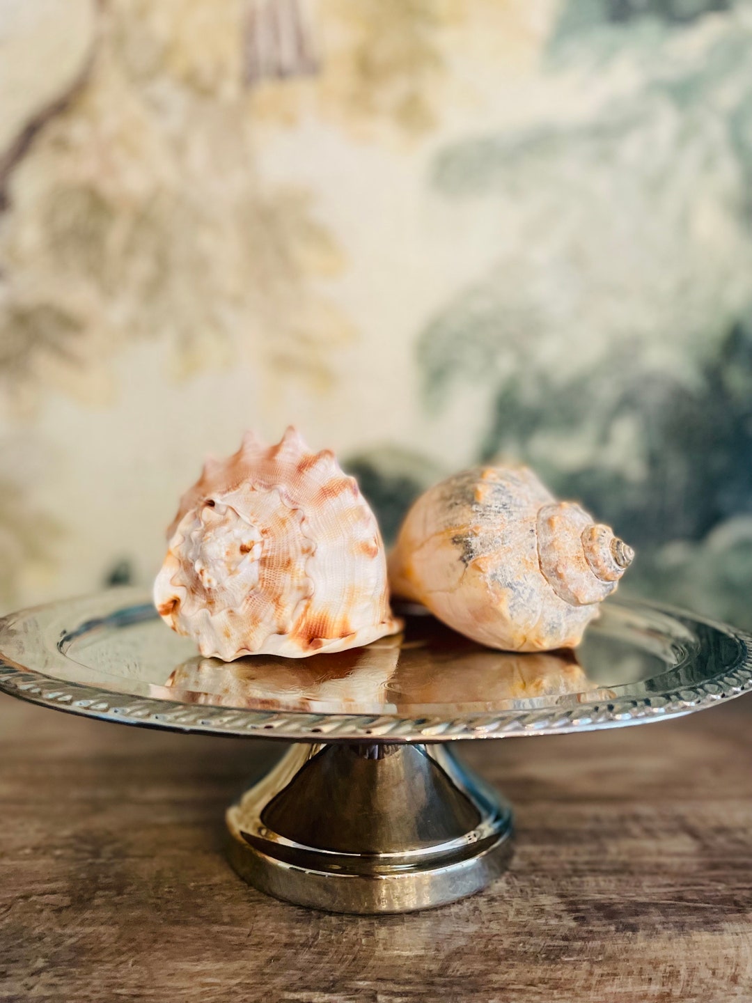 Silver Cake Plate Pedestal Birthday Cake Stand - Etsy