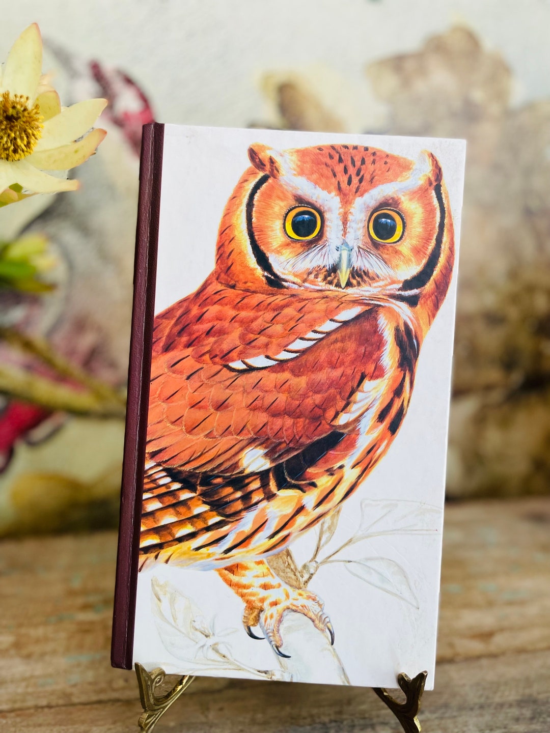 Book of North American Birds Hardcover Readers Digest Bird Reference ...