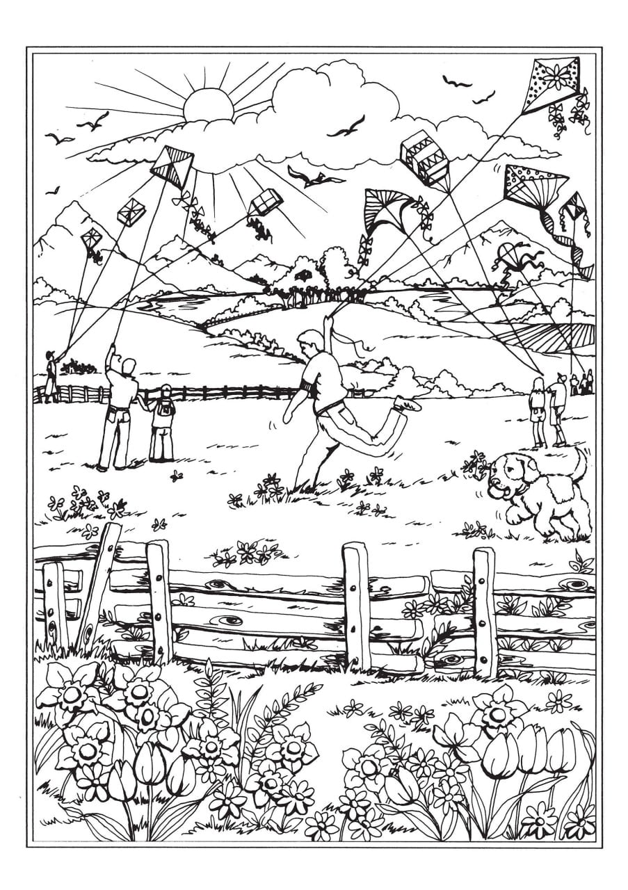 Printable Varieties of Coloring Pages for Children's, Adults Etc - Etsy