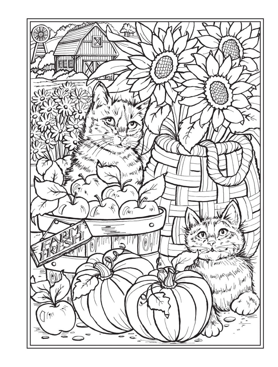 Printable Varieties of Coloring Pages for Children's, Adults Etc - Etsy