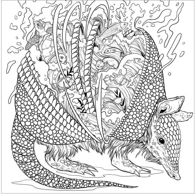 Printable Varieties of Coloring Pages for Children's, Adults Etc - Etsy