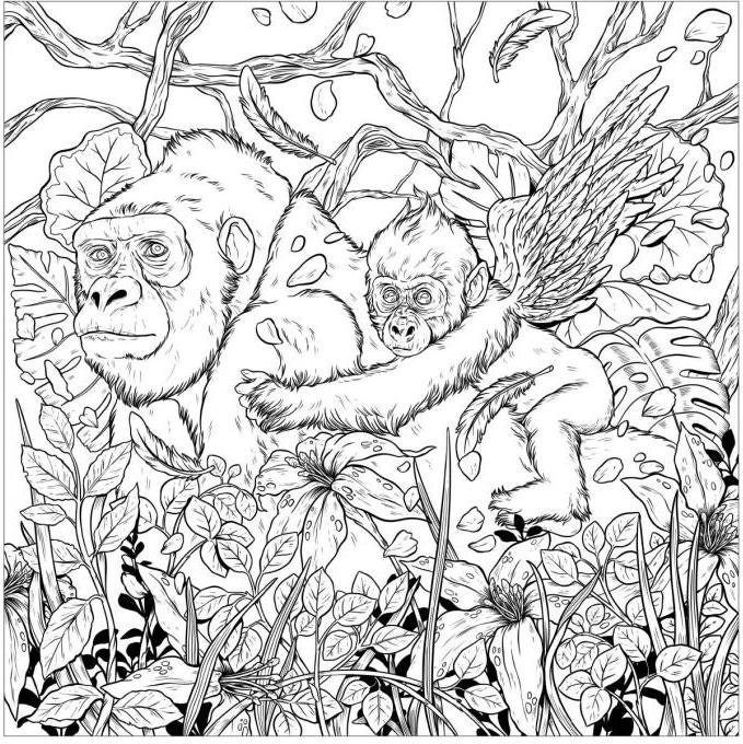 Printable Varieties of Coloring Pages for Children's, Adults Etc - Etsy