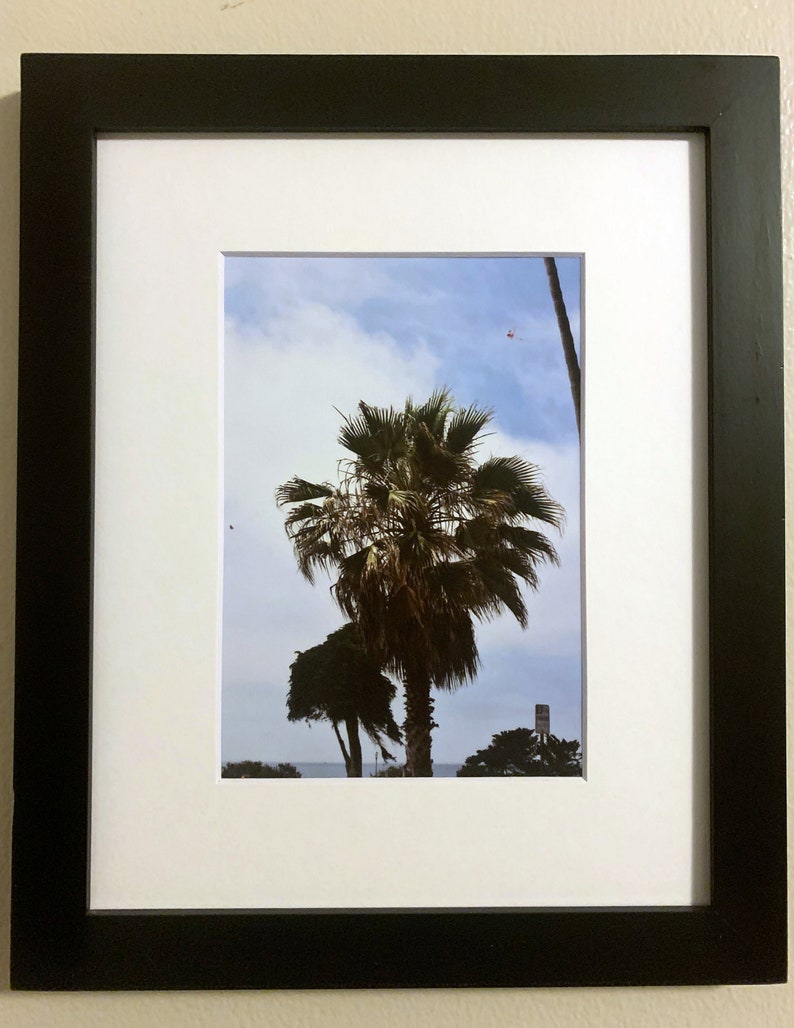 8x10 / Palm Tree Photograph Print / Palm Photograph / California ...