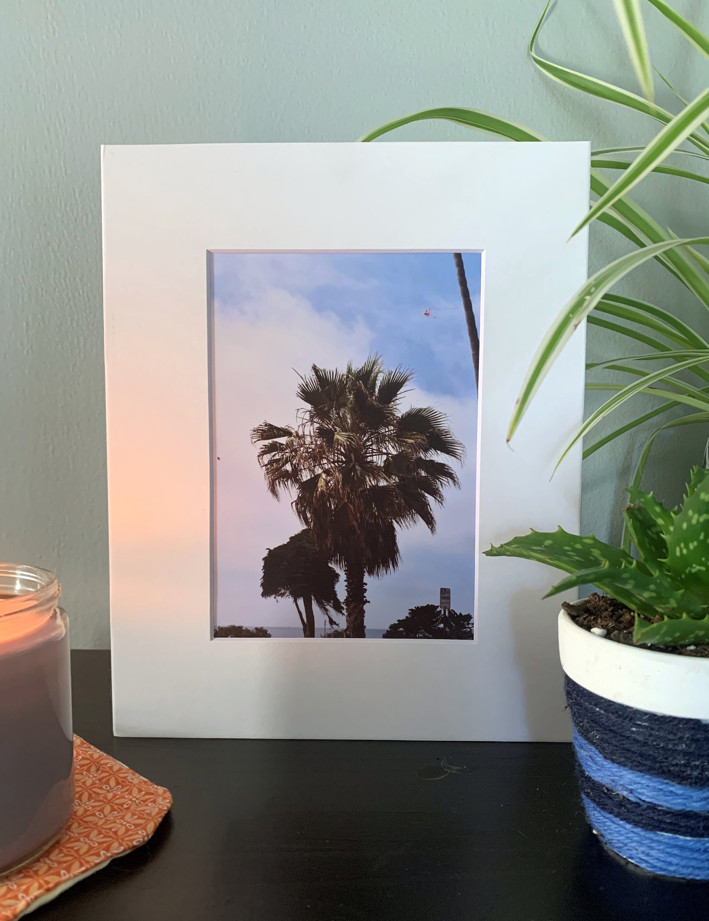 8x10 / Palm Tree Photograph Print / Palm Photograph / California ...