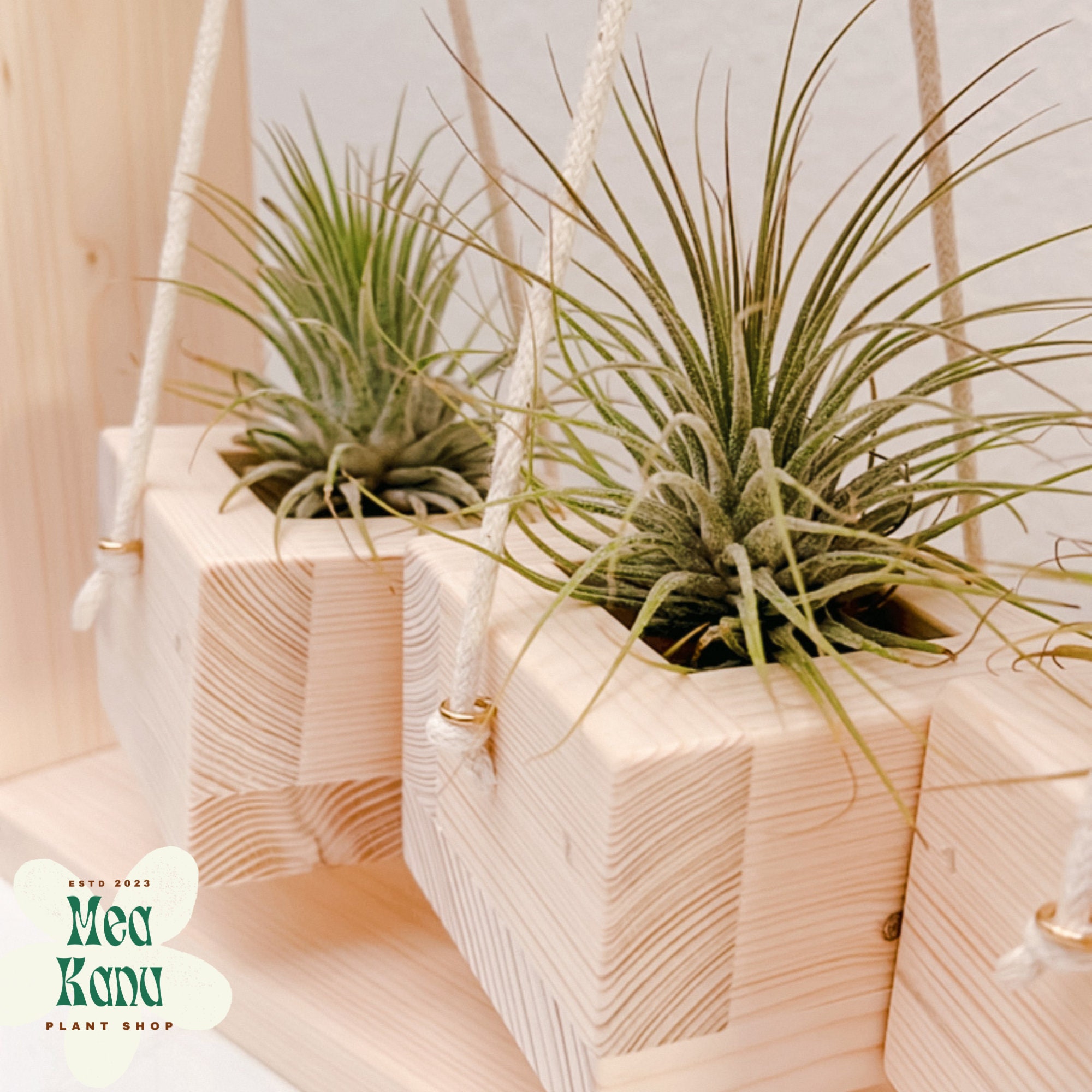 Air Plant Shelf, Wood Air Plant Decor, Air Plant Decor, Boho Decor, Air ...