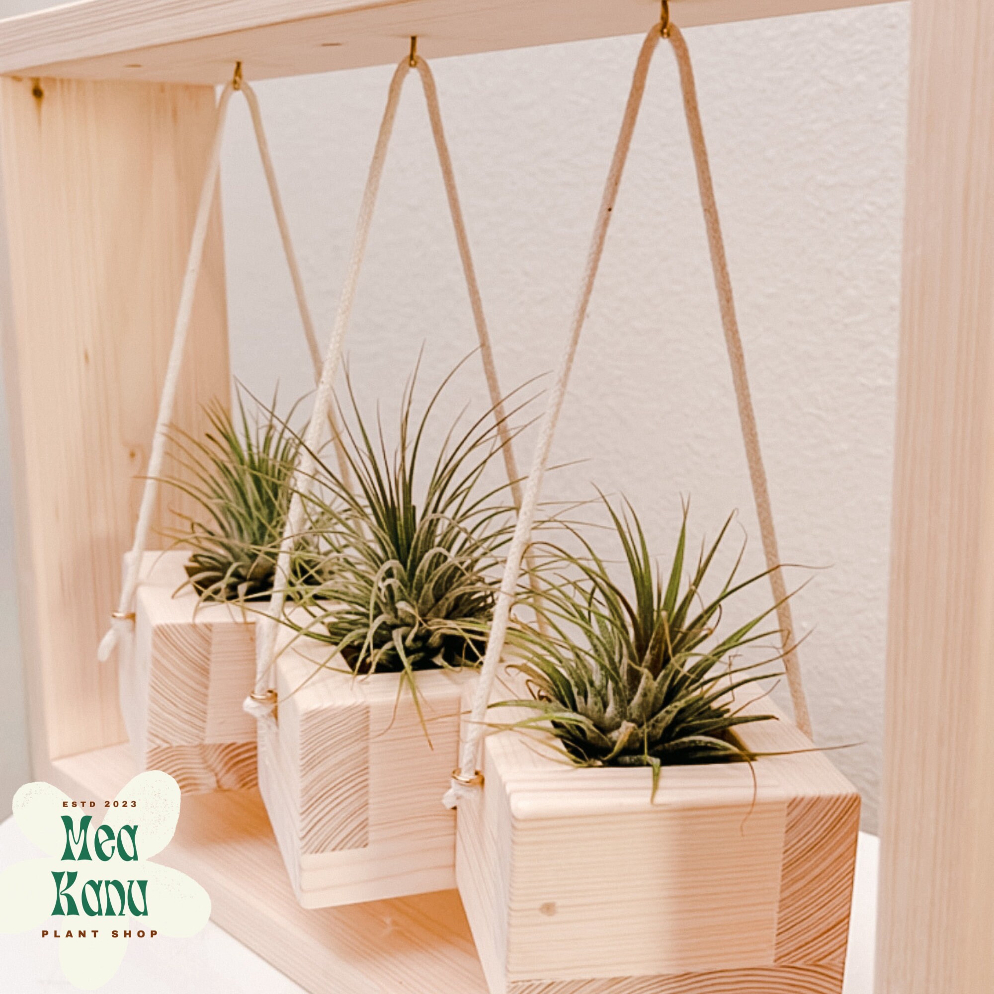 Air Plant Shelf, Wood Air Plant Decor, Air Plant Decor, Boho Decor, Air ...