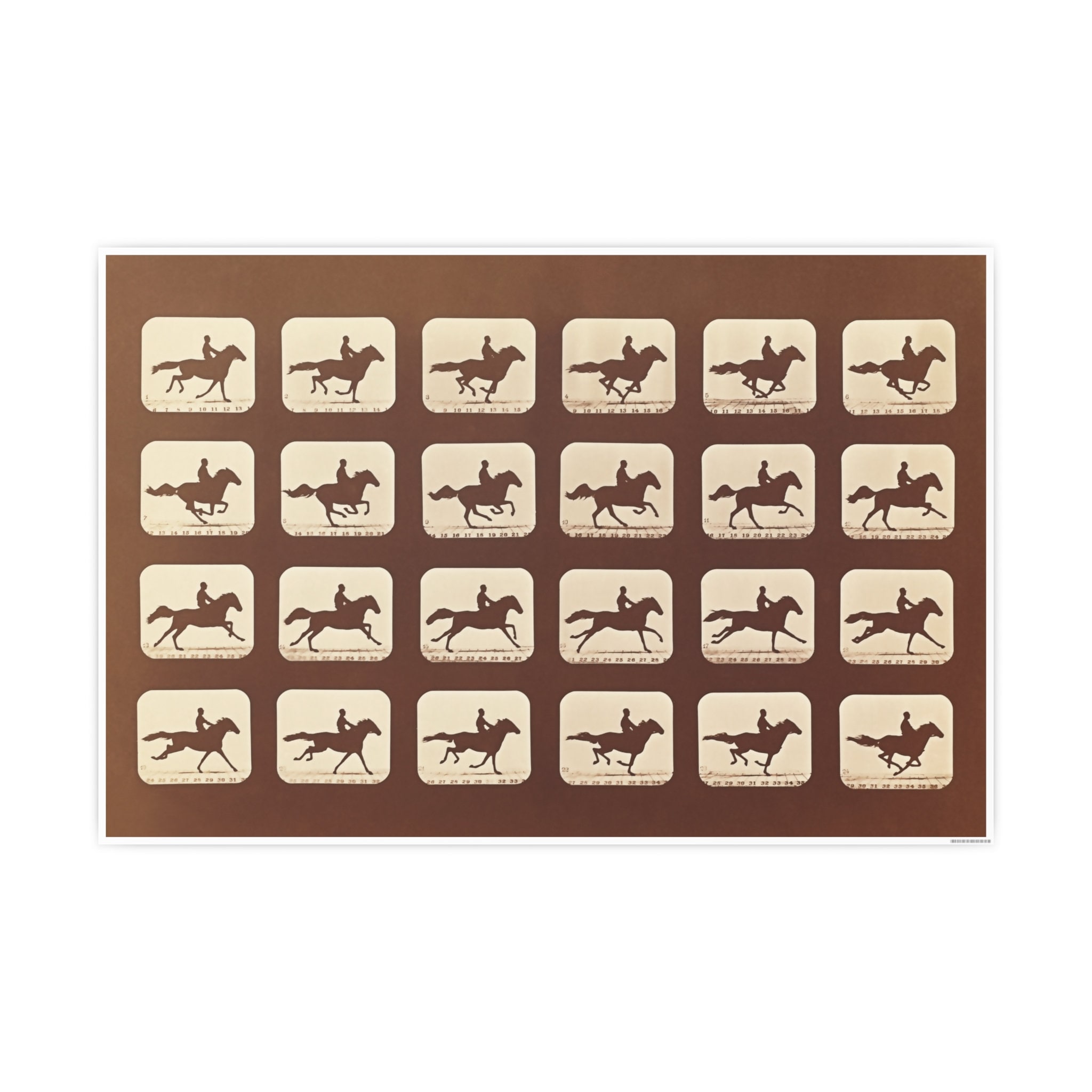 Eadweard Muybridge - Horses. Running (1879) B&W Photograph | Albumen ...