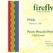 Pride – Peyote Bracelet Pattern Seed Bead Bracelet Pattern Firefly ...
