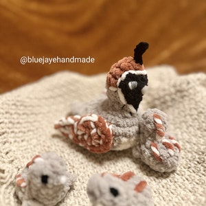 Coco the Quail Crochet Amigurumi Pattern - English Using US Crochet ...