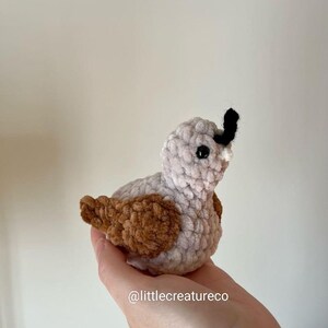 Coco the Quail Crochet Amigurumi Pattern - English Using US Crochet ...