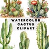 Watercolor Cactus Clipart - Desert Cacti PNG Download | Commercial Use ...