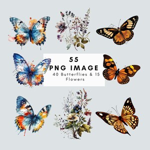 Butterflies Clipart | Watercolor Butterfly | Monarch Butterfly | Floral ...
