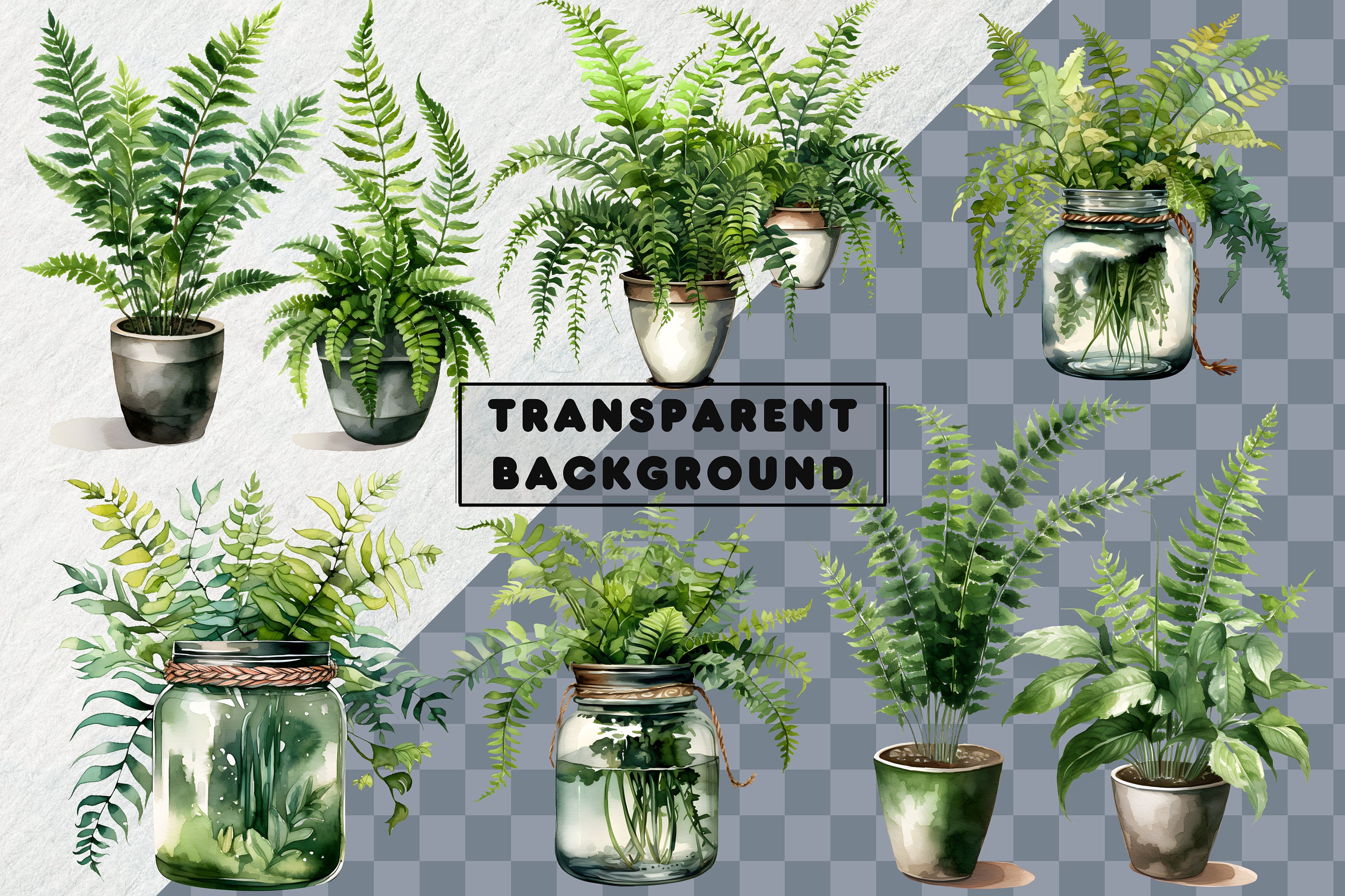 Set of 17 Watercolor Potted Cliparts | Ferns Leaves | for Print ...