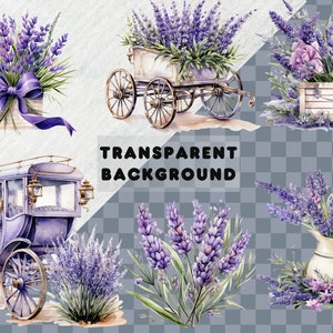 Watercolor Lavender Clipart: Garden Botanical Illustrations (27 PNG) - Etsy