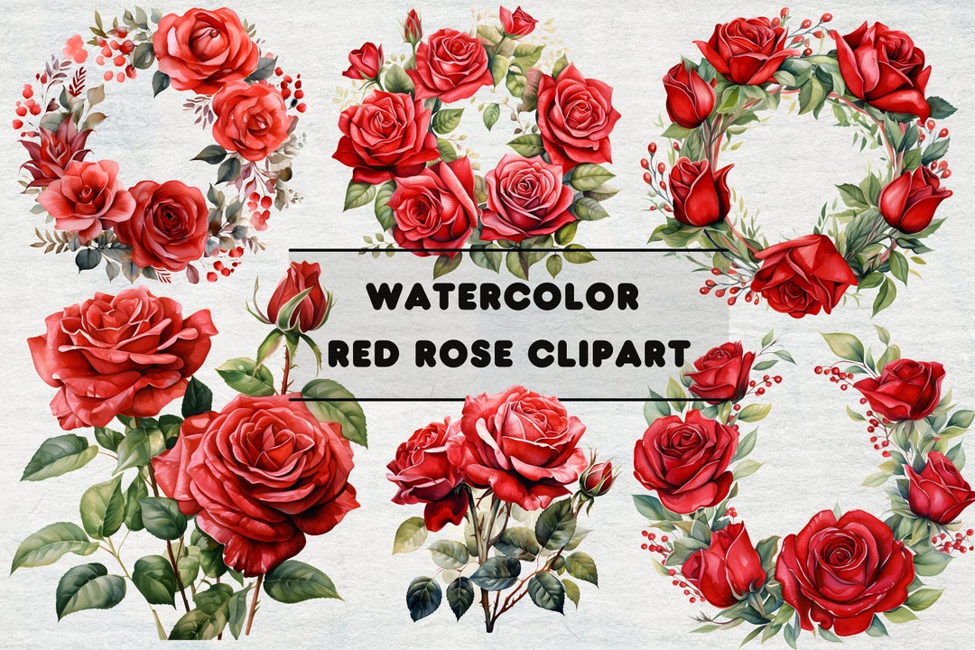 17 Watercolor Red Roses Clipart - Roses and Leaves in PNG Format ...