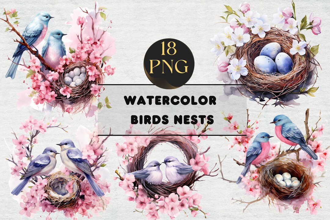Watercolor Bird Nests Clipart - Springtime Nests With Birds and ...