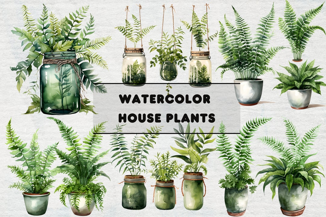 Set of 17 Watercolor Potted Cliparts | Ferns Leaves | for Print ...