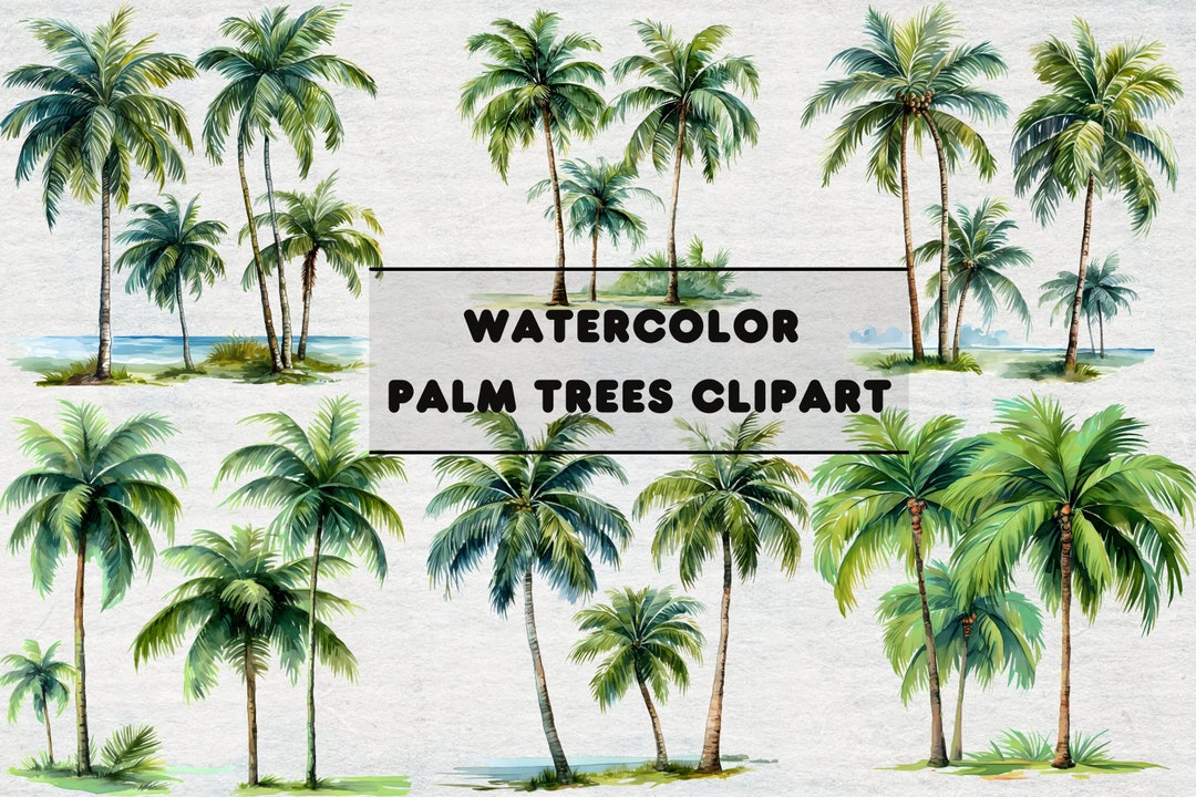 Set of 14 Watercolor Palm Trees Clipart | Tropical Illustrations ...