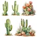 Watercolor Cactus Clipart - Desert Cacti PNG Download | Commercial Use ...
