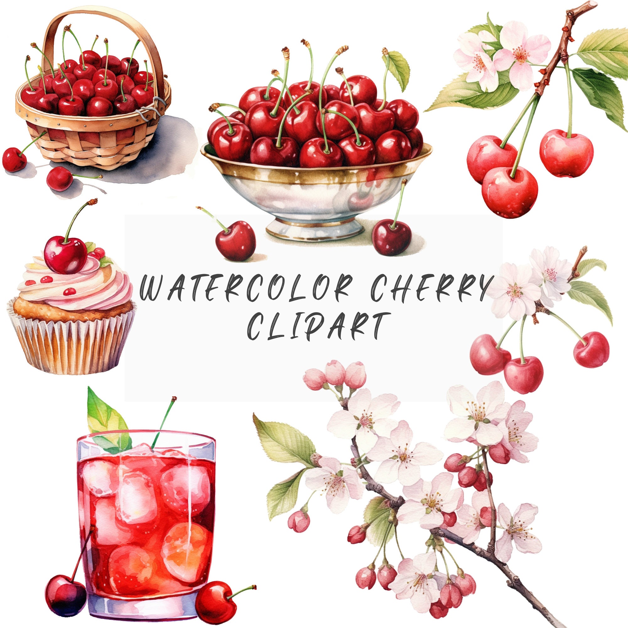 Watercolor Cherry Clipart Pack of 50 Botanical Fruit - Etsy