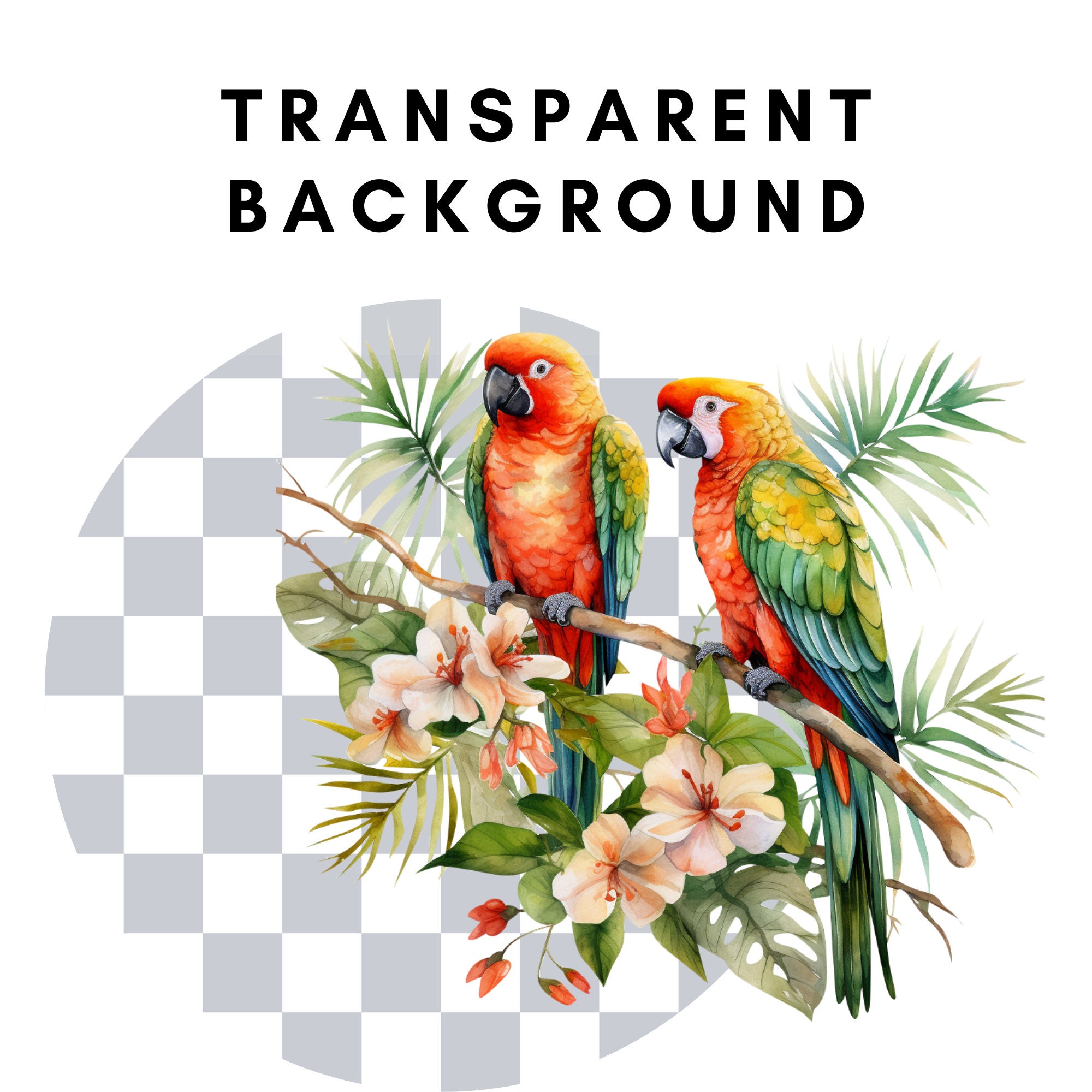 Watercolor Parrot Clipart tropical Birds With Flowers and - Etsy