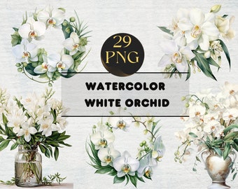 White Orchid Watercolor Clipart: Floral PNG Illustrations (commercial ...