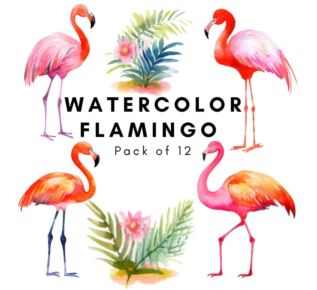 Set of 12 Watercolor Flamingo Cliparts | Watercolor Flamingo | Pink ...