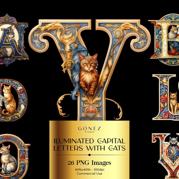 Illuminated Letters - Etsy